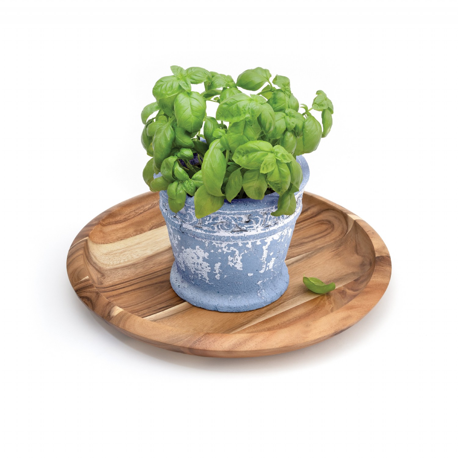 Acacia Grand Centerpiece Platter | Lipper International
